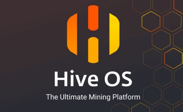 Setting up HiveOS on ESXi 6.7 guest using GPU passthrough | /home/dbarreda